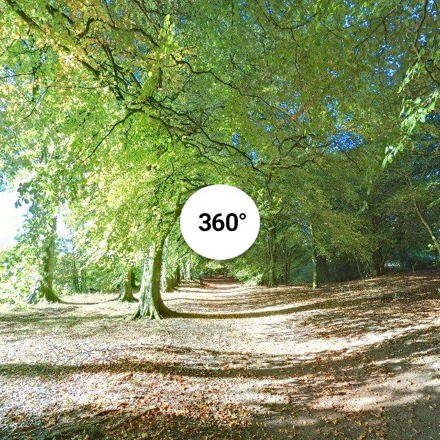 Leipzig Plantation, Roundway Hill, Devizes, UK