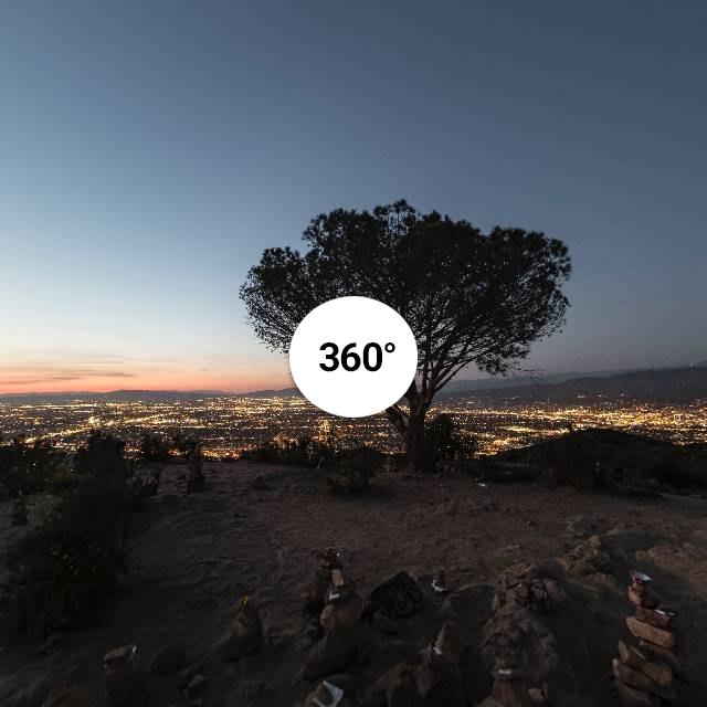 Twilight at the Wisdom Tree also referred to as the tree of li...