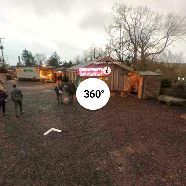 Marldon Christmas Tree Farm last light at the end of the day,...