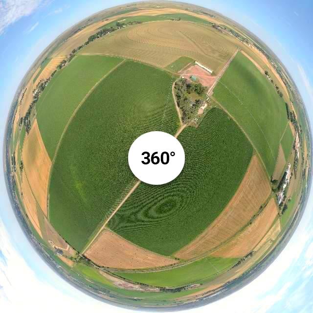 A Pivot in Corn Fields split by the driveway.