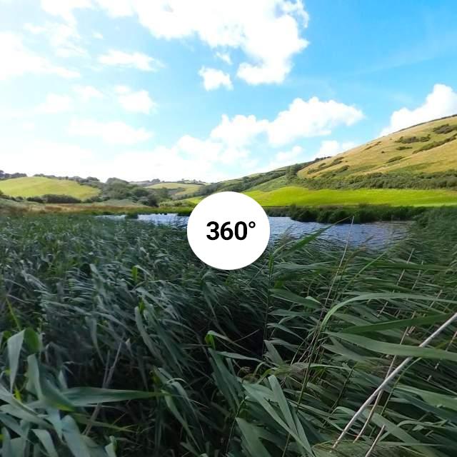 Mansands beach, kingswear -2017 (11) Learn more about Mansand...