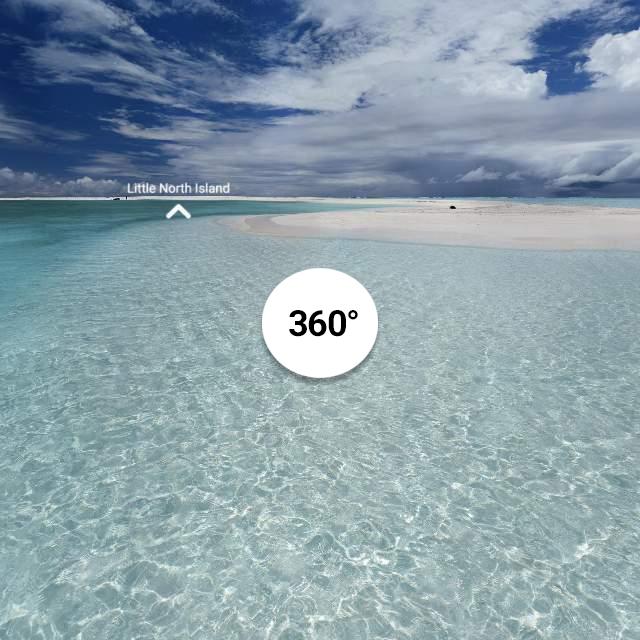 In the Shallows off of Little North Island Pearl and Hermes Atoll