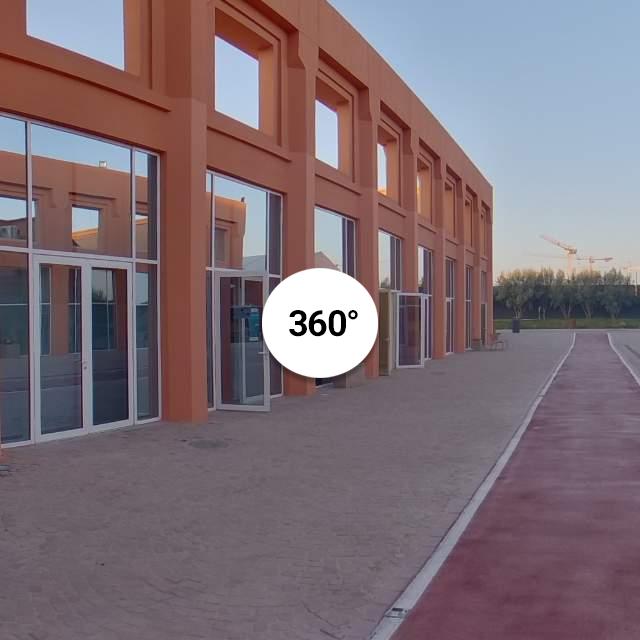 52 3 52-3