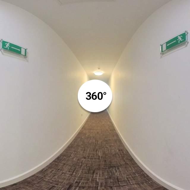 8th floor