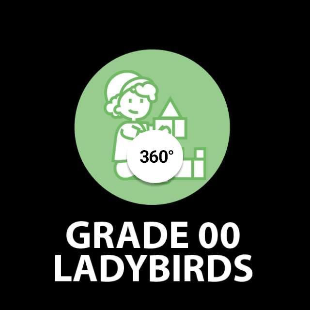 Preschool ladybirds 3