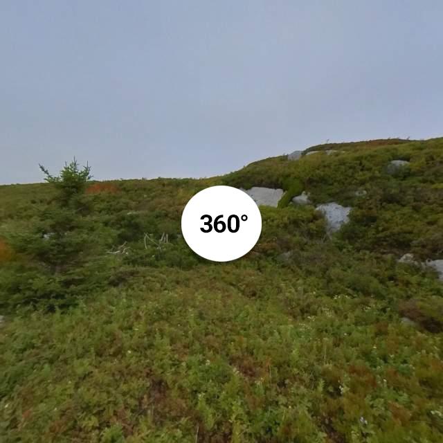 Pennant Point hiking, Crystal Crescent Provincial Park in Hali...