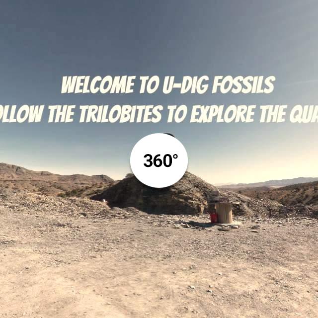 U-Dig Fossils