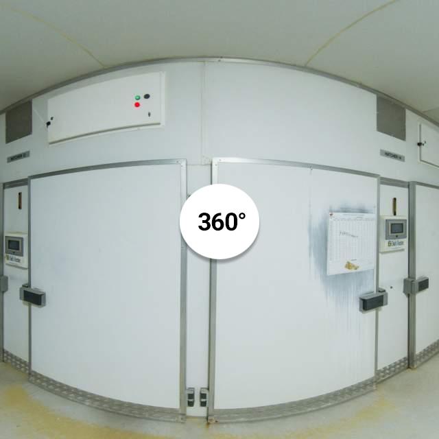 Festive Kaalfontein Hatchery - Hatchers