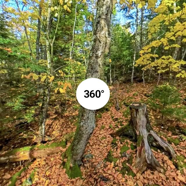 Hemlock Ravine Park in Halifax, Nova Scotia. Map & guide: www...