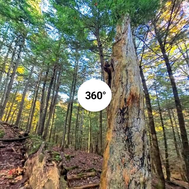 Hemlock Ravine Park in Halifax, Nova Scotia. Map & guide: www...