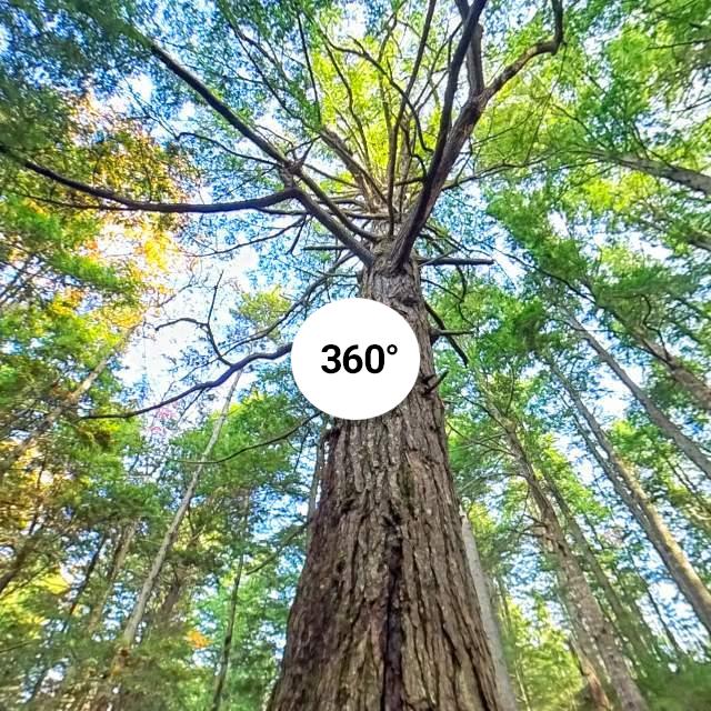 Hemlock Ravine Park in Halifax, Nova Scotia. Map & guide: www...