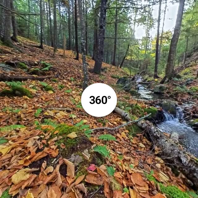 Hemlock Ravine Park in Halifax, Nova Scotia. Map & guide: www...