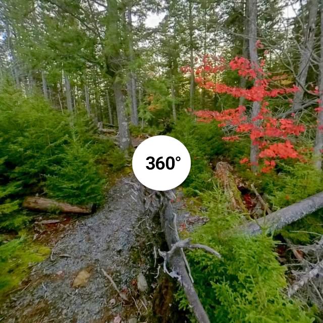 Hemlock Ravine Park in Halifax, Nova Scotia. Map & guide: www...