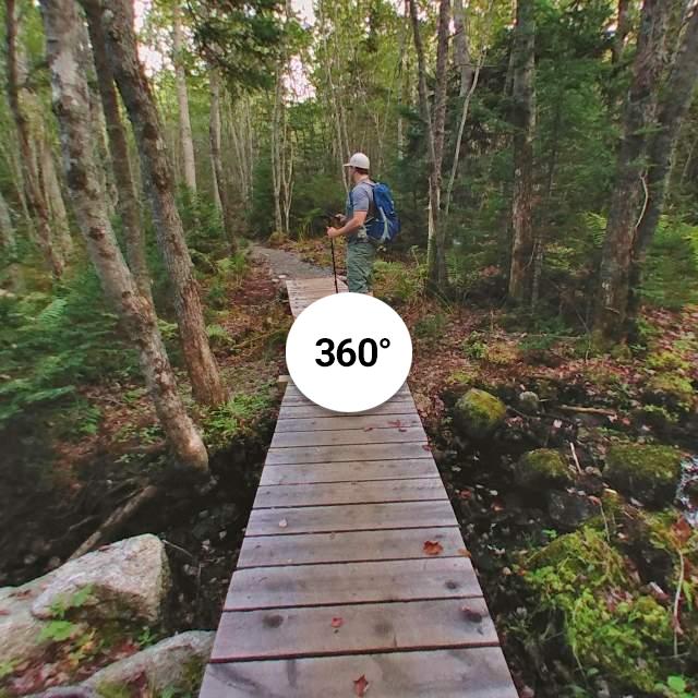 "In-N-Out." McIntosh Run Singletrack Trail System i...