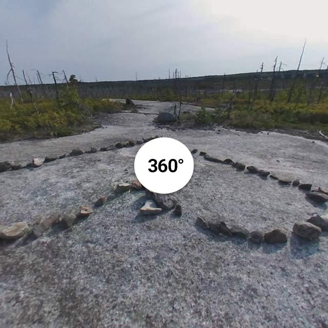 "The Attic". McIntosh Run Singletrack Trail System i...