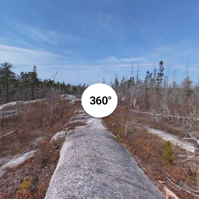 McIntosh Run Singletrack Trail System in Halifax, Nova Scotia....