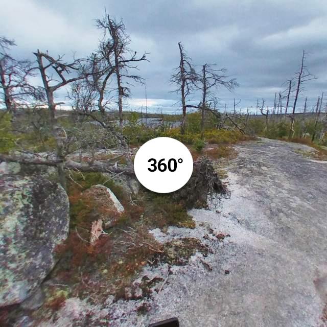 McIntosh Run Singletrack Trail System in Halifax, Nova Scotia....