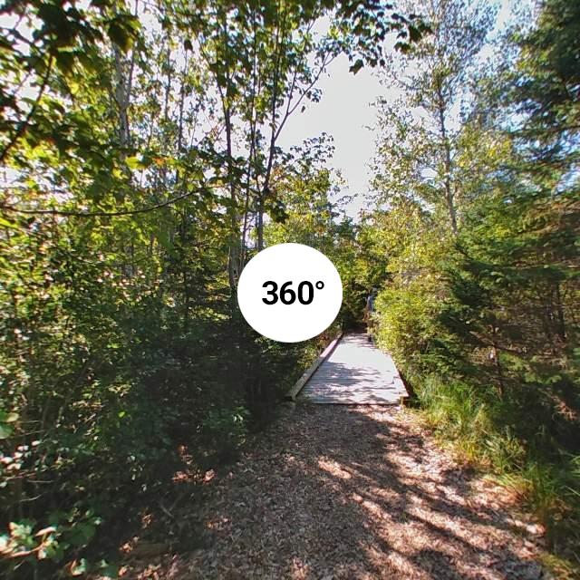 Loop Trail - Halifax Mainland Common Park in Halifax, Nova Sco...