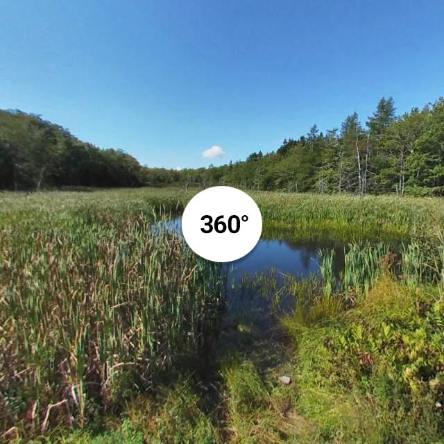 McIntosh Run Community Trail in Halifax, Nova Scotia. Map & gu...