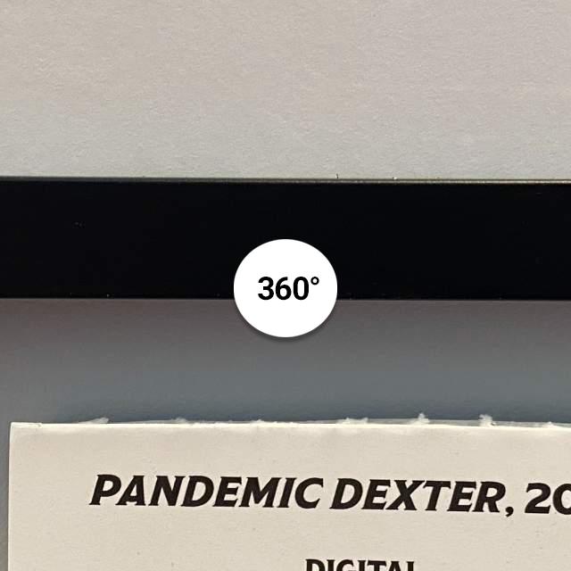 Pandemic Dexter Card