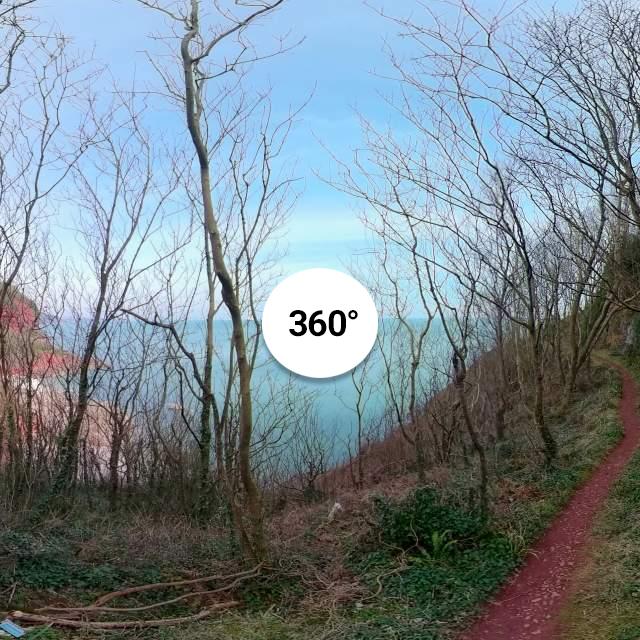 Petitor Beach 2021, Torquay (3) Learn more about Petitor Beac...