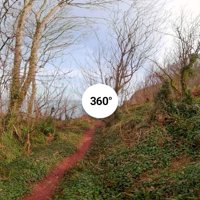 Petitor Beach 2021, Torquay (4) Learn more about Petitor Beac...