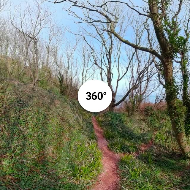 Petitor Beach 2021, Torquay (6) Learn more about Petitor Beac...