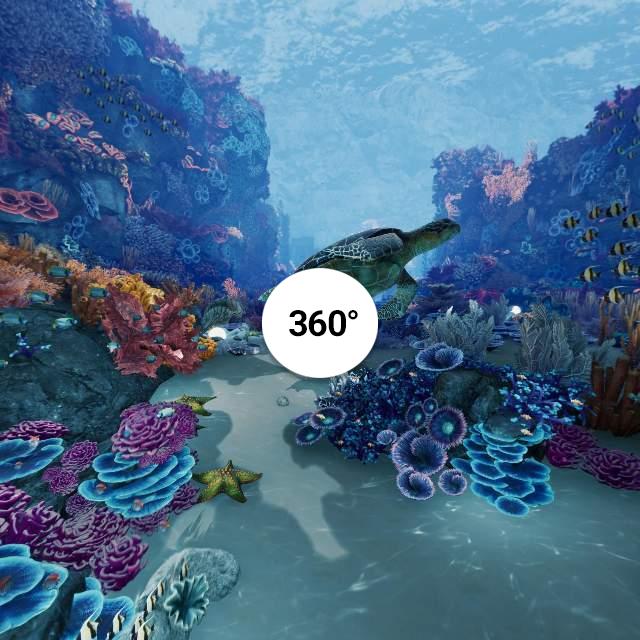 Underwater 360