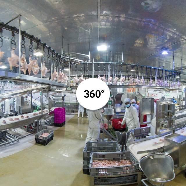 Goldi Standerton - Wrapping Area