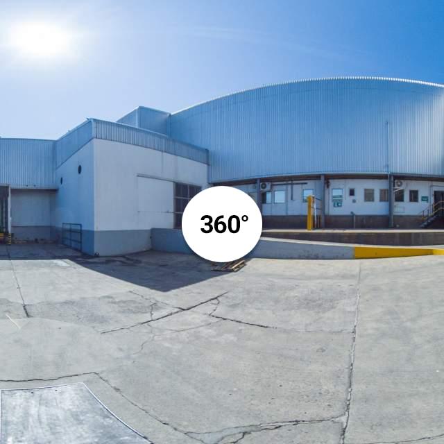 Goldi standerton 0049