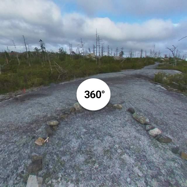 McIntosh Run Singletrack Trail System in Halifax, Nova Scotia....