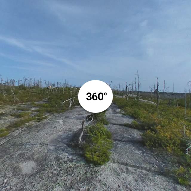 McIntosh Run Singletrack Trail System in Halifax, Nova Scotia....