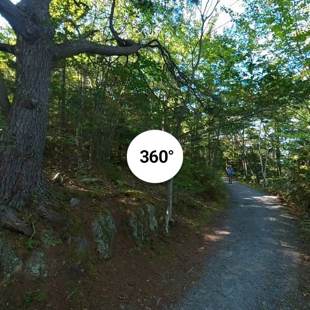 Sir Sandford Fleming park in Halifax, Nova Scotia. Map & guide...