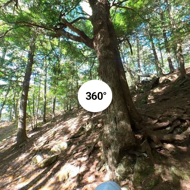 Sir Sandford Fleming park in Halifax, Nova Scotia. Map & guide...