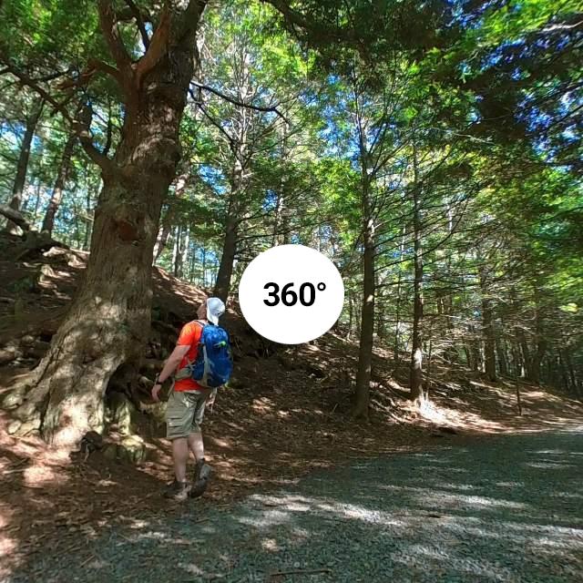 Sir Sandford Fleming park in Halifax, Nova Scotia. Map & guide...