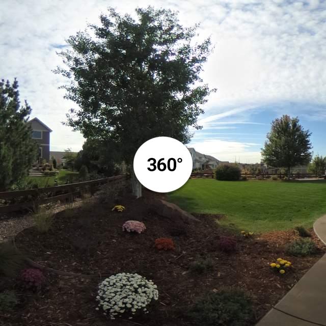 Enter Back Yard