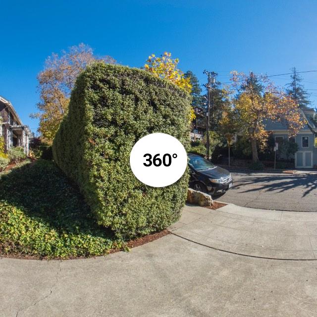 5 left side driveway