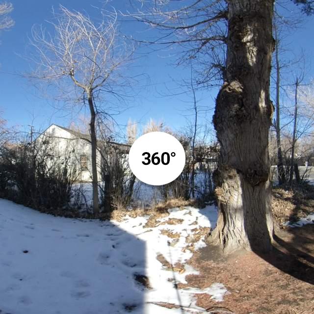 front yard position 2