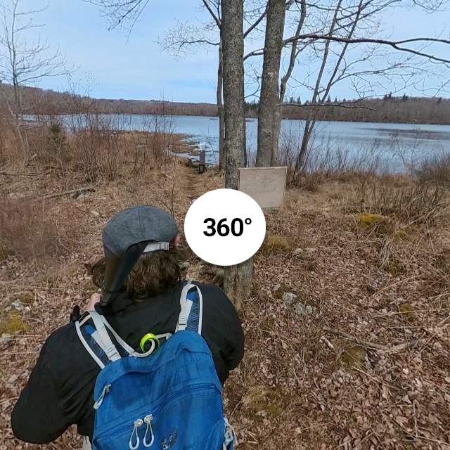 McIntosh Run Singletrack Trail System in Halifax, Nova Scotia....