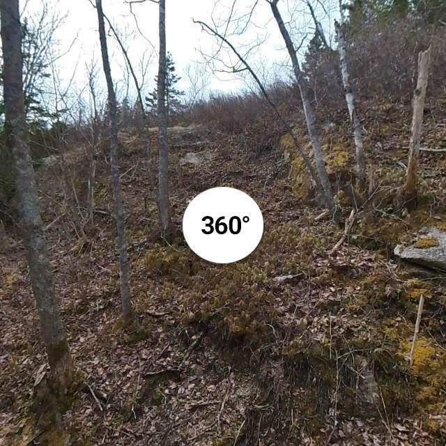 McIntosh Run Singletrack Trail System in Halifax, Nova Scotia....