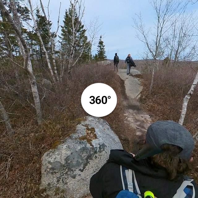 McIntosh Run Singletrack Trail System in Halifax, Nova Scotia....