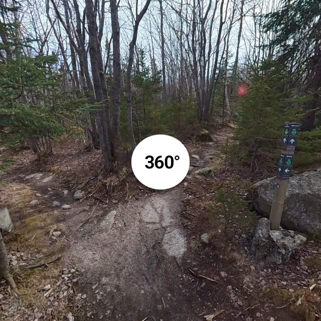 McIntosh Run Singletrack Trail System in Halifax, Nova Scotia....