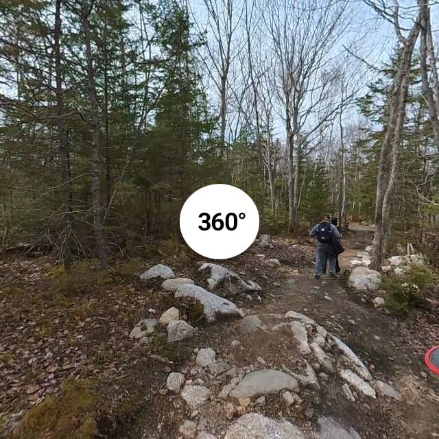 McIntosh Run Singletrack Trail System in Halifax, Nova Scotia....