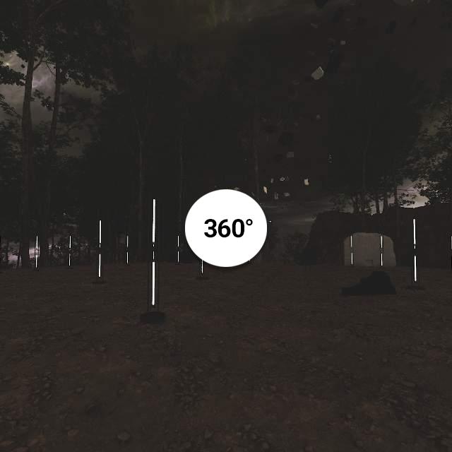 Forest space 220531 b