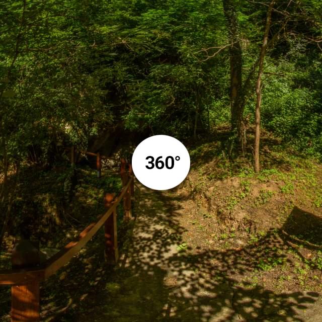 Img 1066 panorama logo