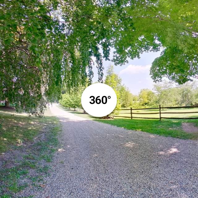 Stone Driveway