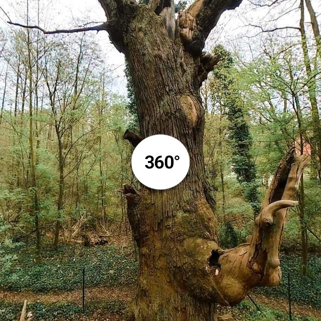 April 2023 Die "Dicke Marie" in Berlin-Tegel Original 360° Foto