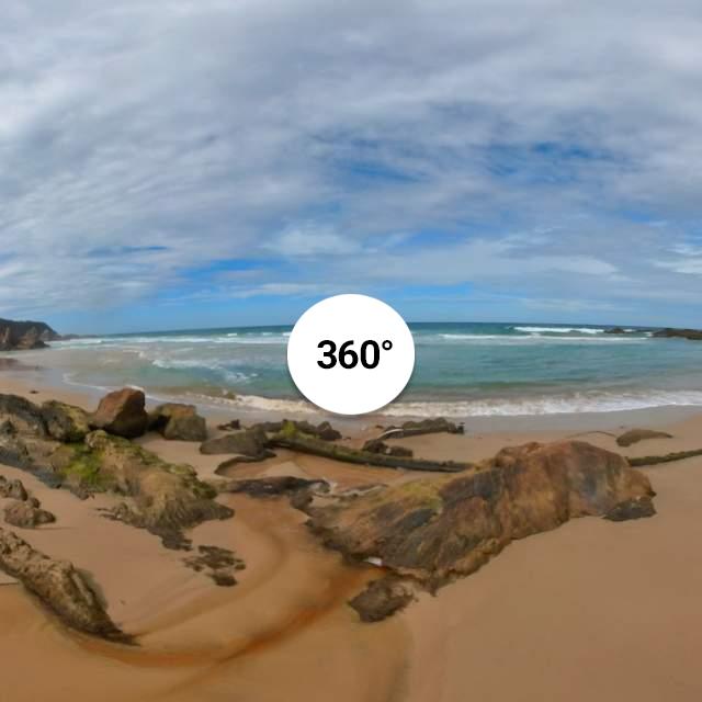 Seal 26 sep 360 rocks 04