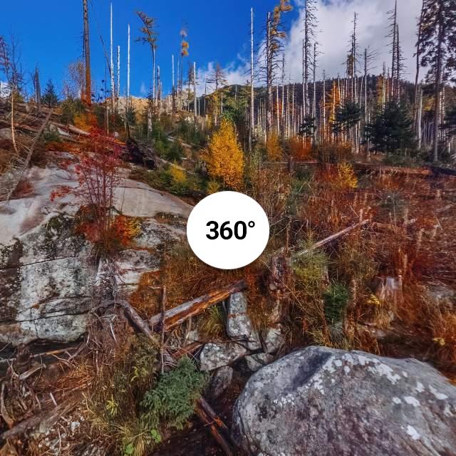 The Cold Creek Waterfalls