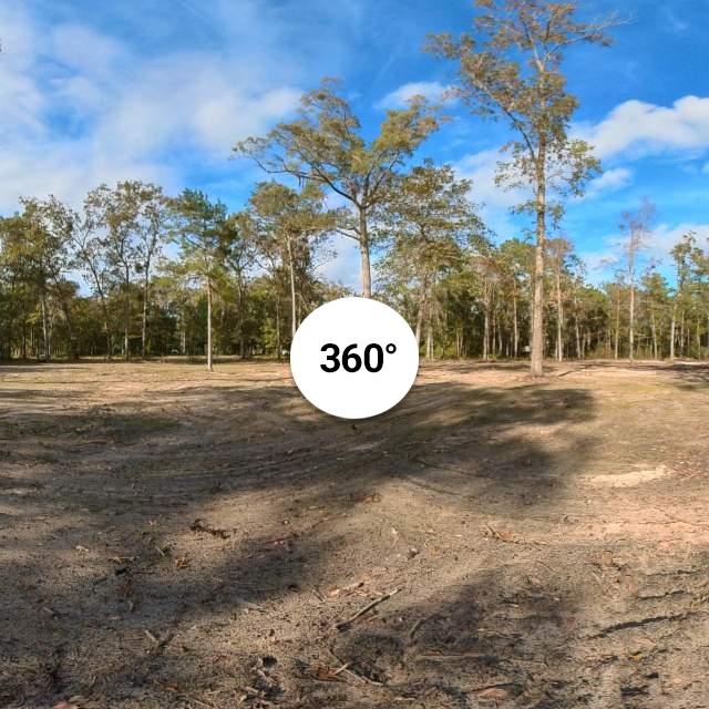 Img 20221116_150234_00_merged